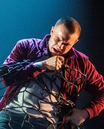 Joe Layton Theatre Credits, News, Bio and Photos