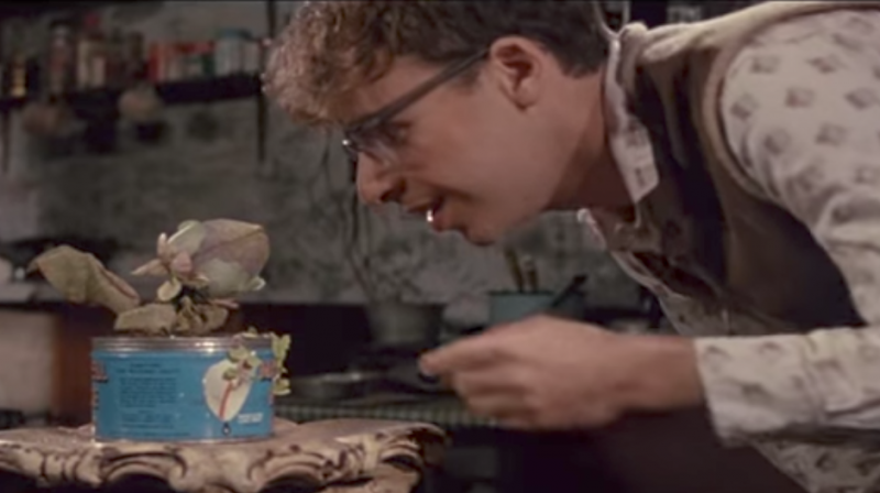 LITTLE SHOP OF HORRORS Returning to Theaters with Alternate Ending This ...