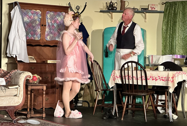 Photos: First Look At COME BACK, LITTLE SHEBA At Haines City Theatre