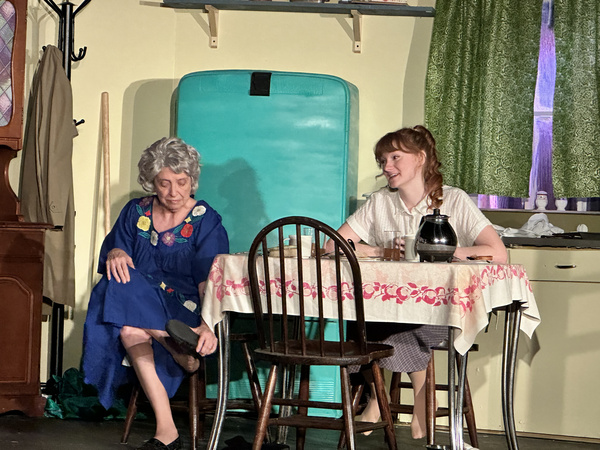 Photos: First Look At COME BACK, LITTLE SHEBA At Haines City Theatre