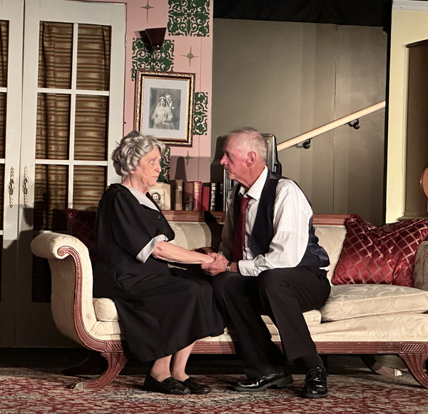 Photos: First Look At COME BACK, LITTLE SHEBA At Haines City Theatre