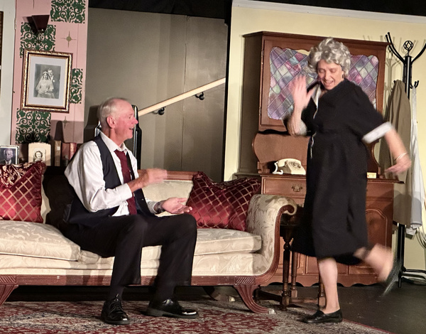 Photos: First Look At COME BACK, LITTLE SHEBA At Haines City Theatre