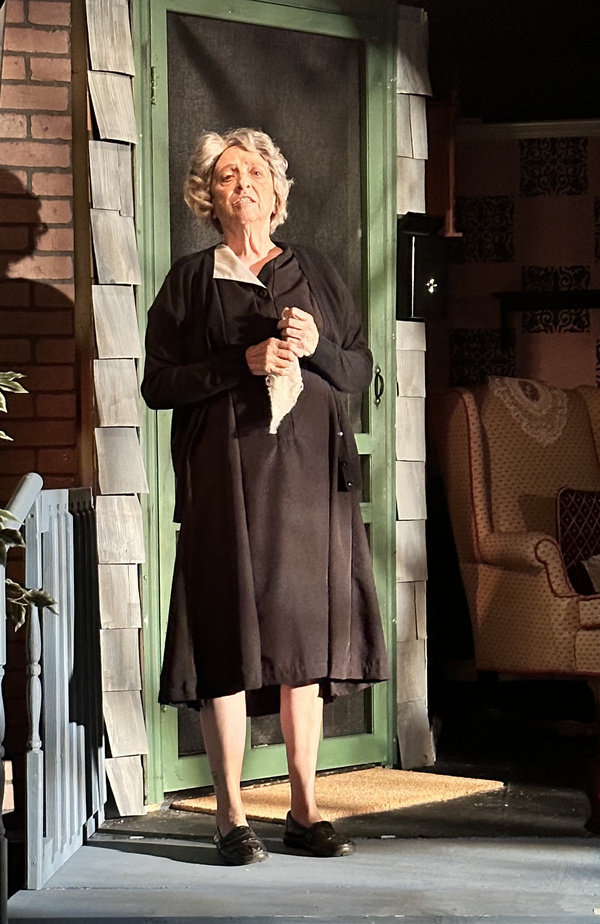 Photos: First Look At COME BACK, LITTLE SHEBA At Haines City Theatre