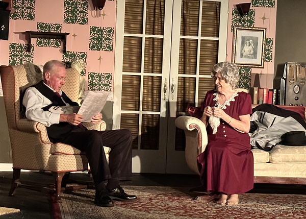 Photos: First Look At COME BACK, LITTLE SHEBA At Haines City Theatre