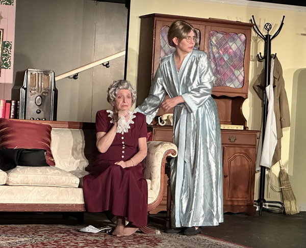 Photos: First Look At COME BACK, LITTLE SHEBA At Haines City Theatre