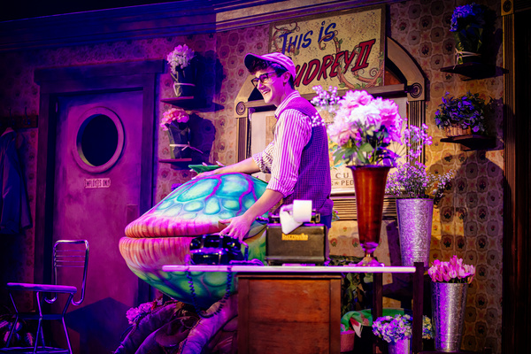 Photos: First Look at LITTLE SHOP OF HORRORS at The Encore