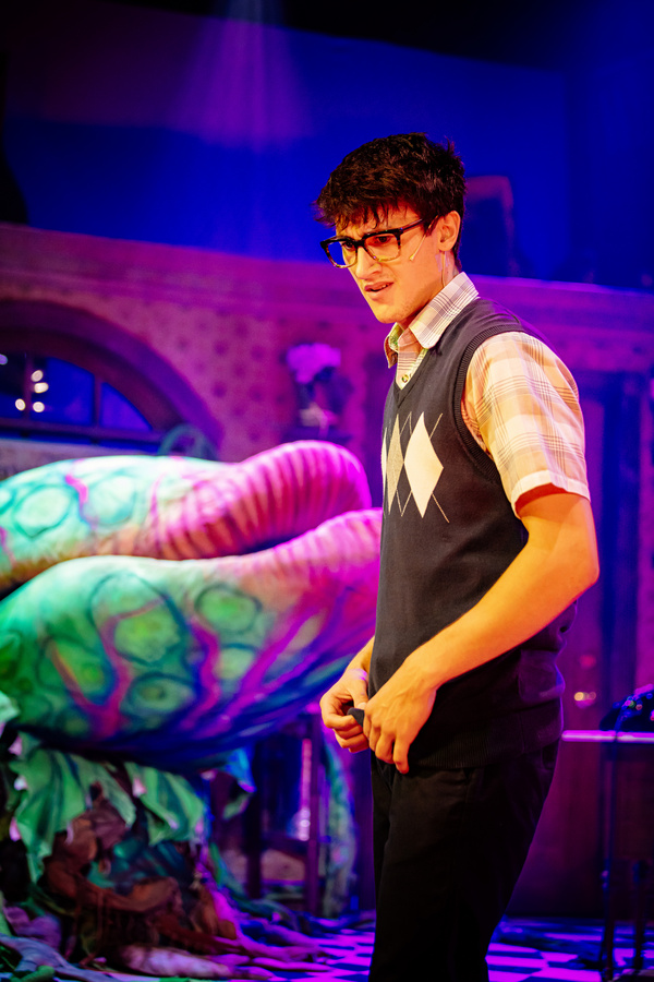 Photos: First Look at LITTLE SHOP OF HORRORS at The Encore