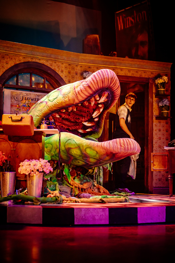 Photos: First Look at LITTLE SHOP OF HORRORS at The Encore