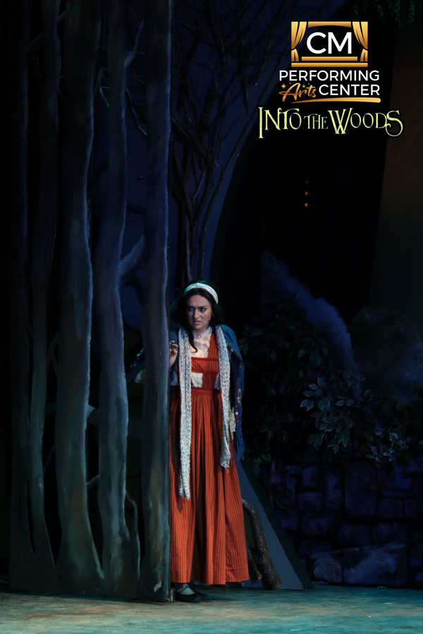 Photos: First Look at CM Performing Arts Presents: INTO THE WOODS