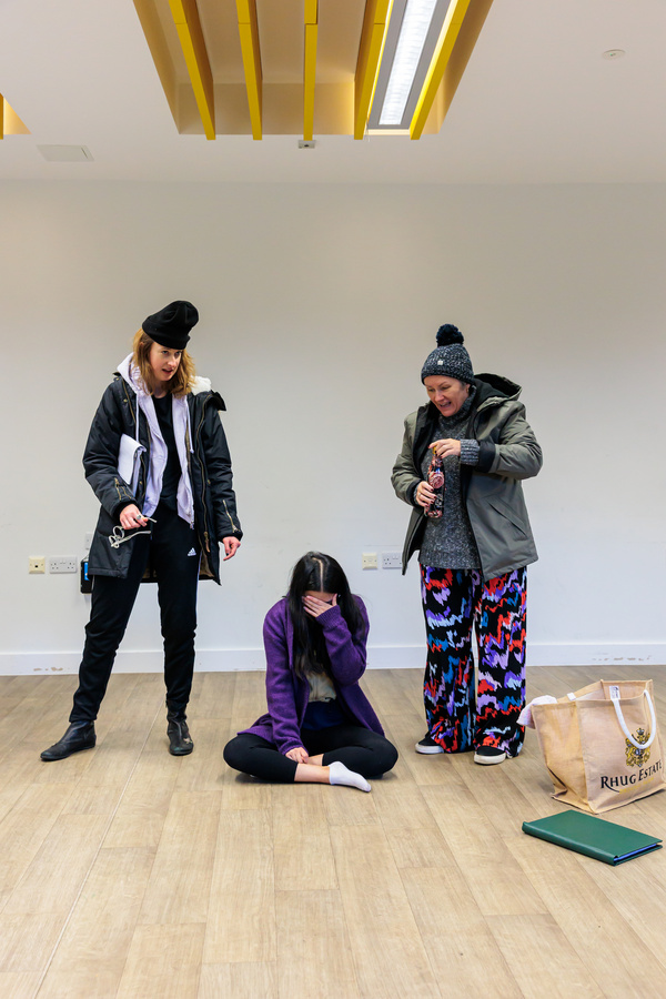 Photos: Inside Rehearsals For Alison Spittle's GLACIER, Starring Debra ...