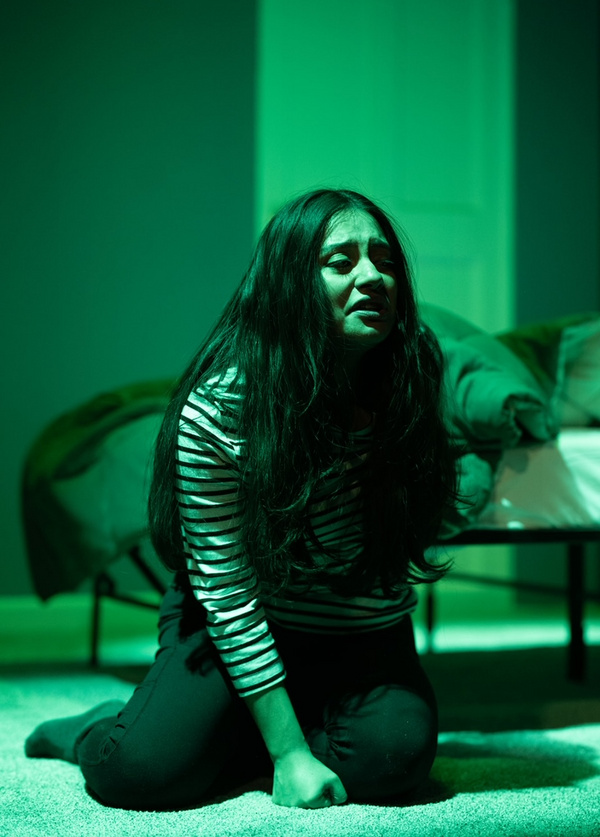 Photos: First Look at the World Premiere of SHADOWS at ART/NY