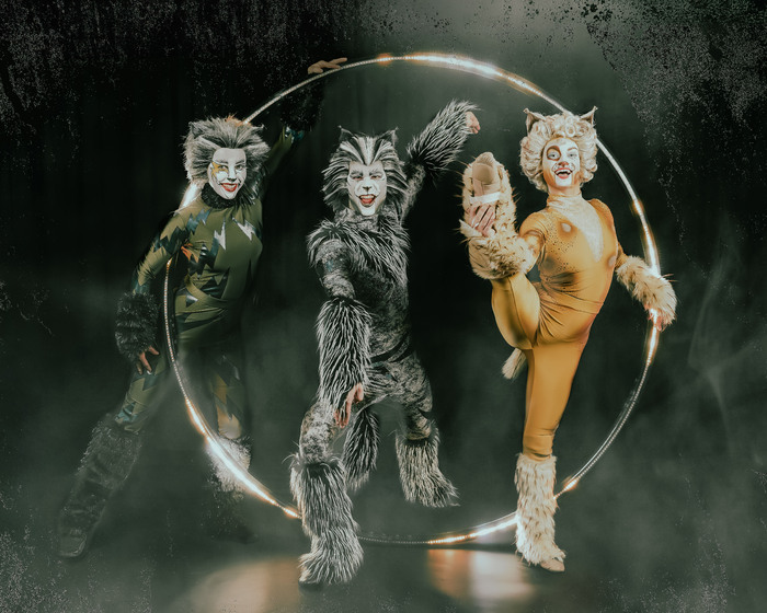 Photos: Meet the Cast of CATS At Paramount Theatre