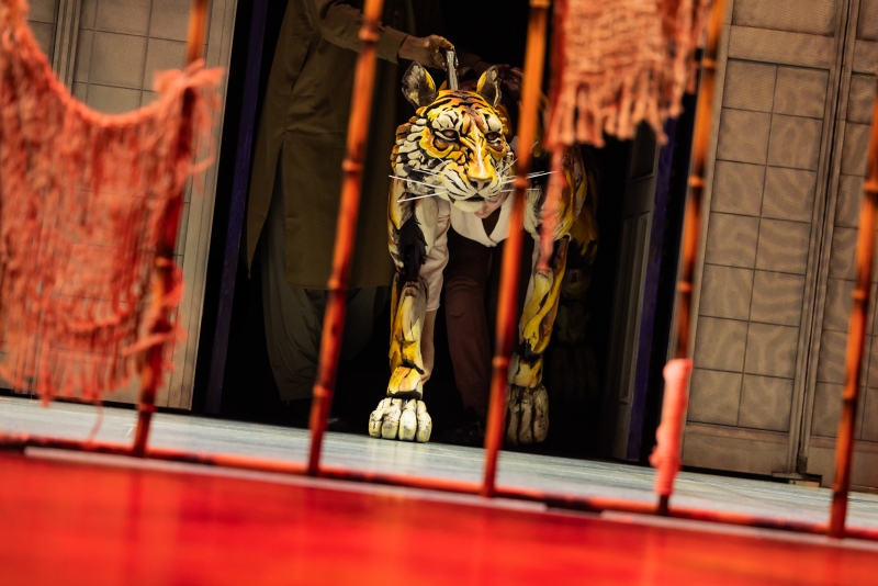 Review: LIFE OF PI at Belk Theater